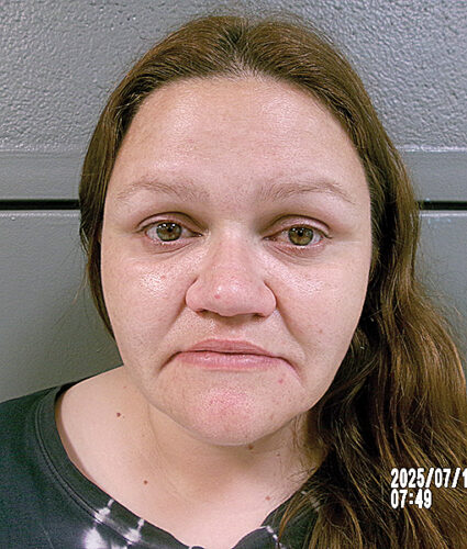 Elkins woman charged with embezzlement | News, Sports, Jobs - The ...